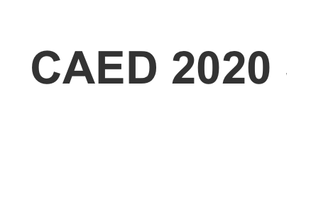 CAED 2020 Seminar: Fabiano Schivardi (LUISS University, Italy ...